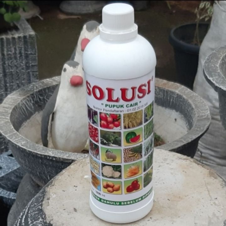 Pupuk Cair Solusi 1000ML | Lazada Indonesia