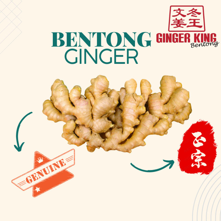 1kG Original Bentong Old Ginger 正宗文冬老姜 坐月子 姜酒鸡 Confinement Cooking "Fresh Bentong Ginger ...