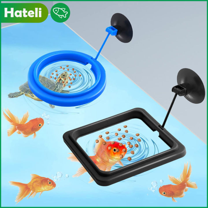 HATELI Fish Feeding Ring Fish Feeder Aquarium Fish Turtle Tank อุปกรณ์ ...