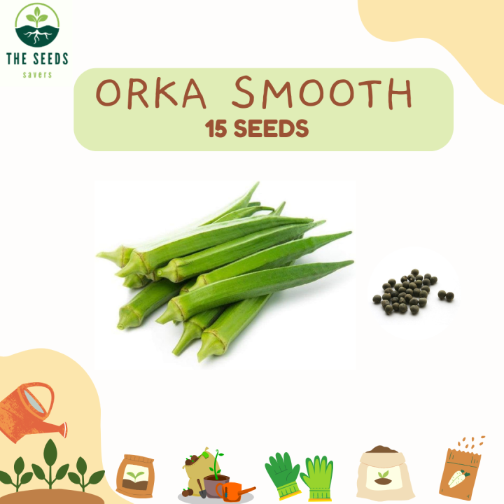 OKRA SEEDS CONDOR - 15pcs seeds | Lazada PH