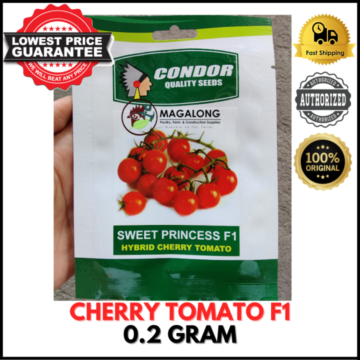 CONDOR SEEDS - TOMATO SEEDS - SWEET PRINCESS F1 HYBRID CHERRY TOMATO ...