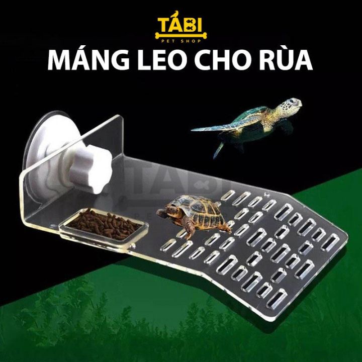 Máng Leo Cho Rùa Phơi Nắng, Đồ Chơi Cho Hồ Rùa, Baba Có Hít Đế Chắc ...