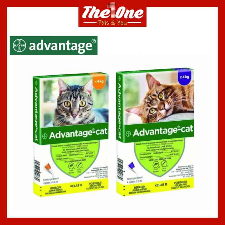 Bayer Advantage Cat Spot On 4 pipet Ubat Kutu Kucing Cat Flea Treatment ...