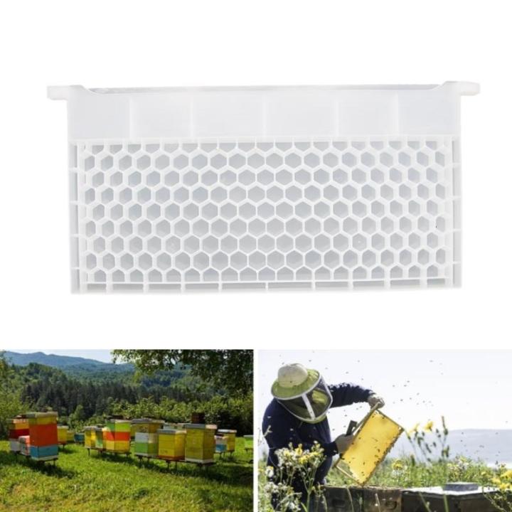 Bees Feeders for Hives Water Feeding Beekeeping Water Dispenser Plastic ...