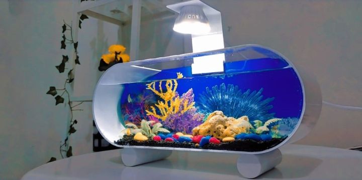 aquarium mini full set /aquarium hias unik/aquarium untuk ikan kecil ...