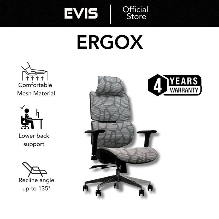 EVIS ErgoX Ergonomic Office Chair with Mesh Material for the Ultimate ...