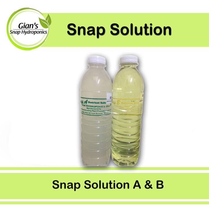 Snap Solution | Lazada PH
