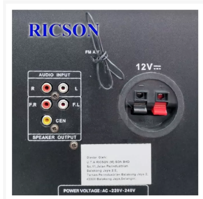 Ricson Karaoke Speaker / USB2216 / 12000 W / USB / SD / FM / BT / TF ...
