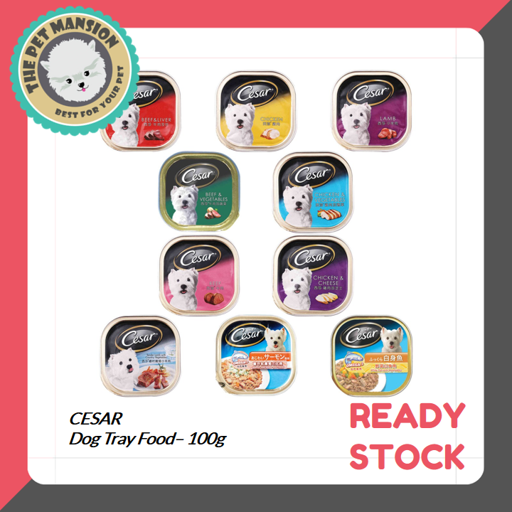 CESAR DOG WET FOOD CANNED TRAY FOOD CHICKEN BEEF LAMB | Lazada
