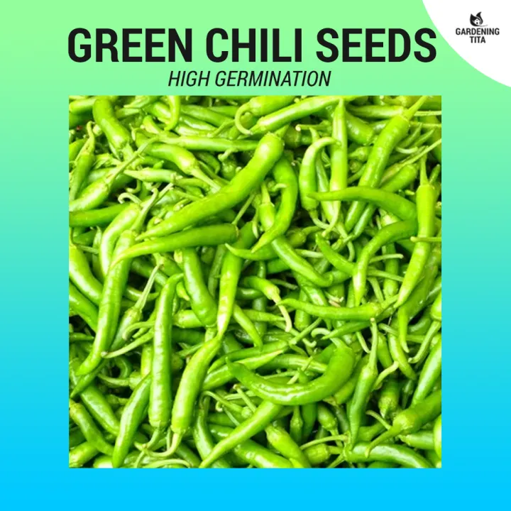 Green Chili / Siling haba / Siling pang sigang seeds (High Germination ...