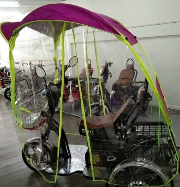 ebike canopy with full sidings, full cover both sides, light weight and ...