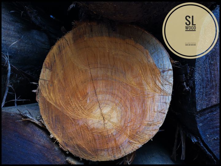 Chengal Round Edge Slab Solid Hard Wood With Natural Coat Finishing 2 ...