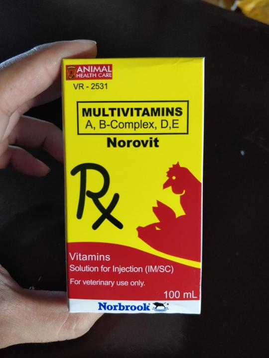 NOROVIT (MULTIVITAMINS+VITAMIN A, B-COMPLEX, D AND E) - 100ml | Lazada PH NOROVIT (MULTIVITAMINS+VITAMIN A, B-COMPLEX, D AND E) - 100ml | Lazada PH