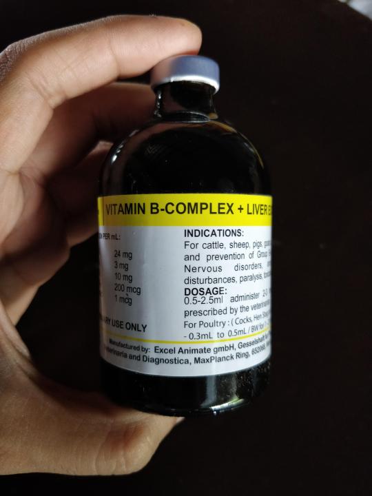 VITAMIN B-COMPLEX + LIVER EXTRACT (20%) - 100ml | Lazada PH