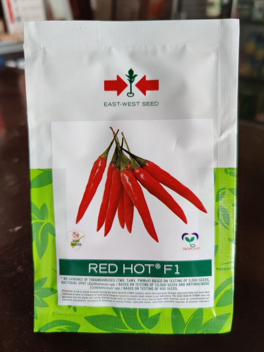 EAST-WEST SEEDS - PEPPER SEEDS - RED HOT F1 HYBRID ASENSO PACK 425 ...