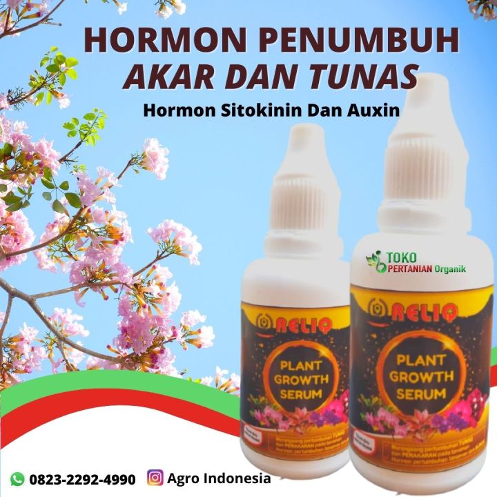 Pupuk Bunga Janda Bolong Warna, Serum Hormon Sitokinin Auxin Janda ...