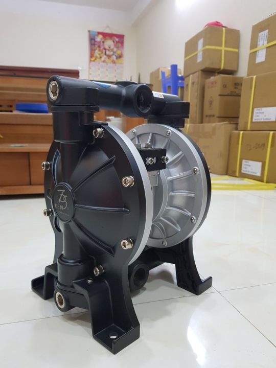 Bơm màng TDS TDS DS03-AAT-TASS-02 | Lazada.vn