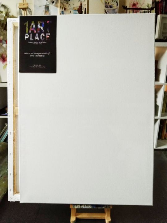 [SG Stocks, Seller Delivery] Artist 50cm x 70cm (20in x 28in) Stretched ...