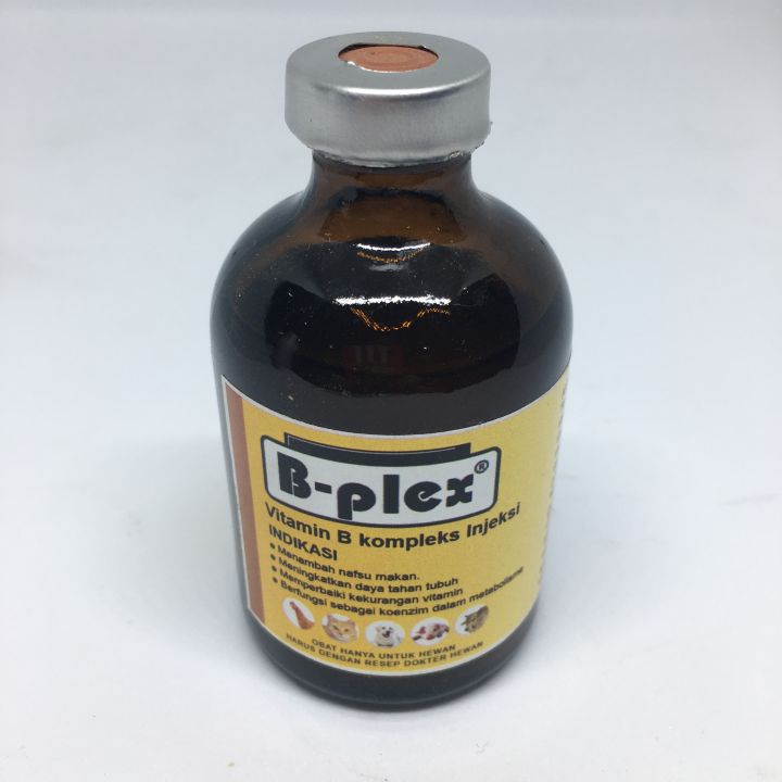 B plex obat vitamin B kompleks injeksi utk nafsu makan kucing anjing ...