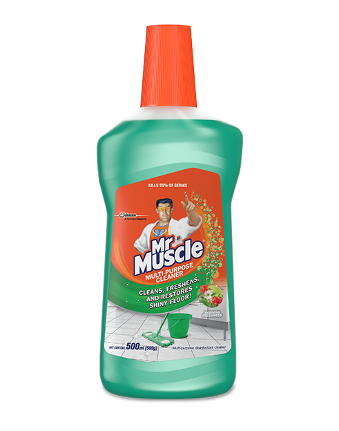 Mr. Muscle All Purpose Cleaner Morning Freshness 500ml | Lazada PH