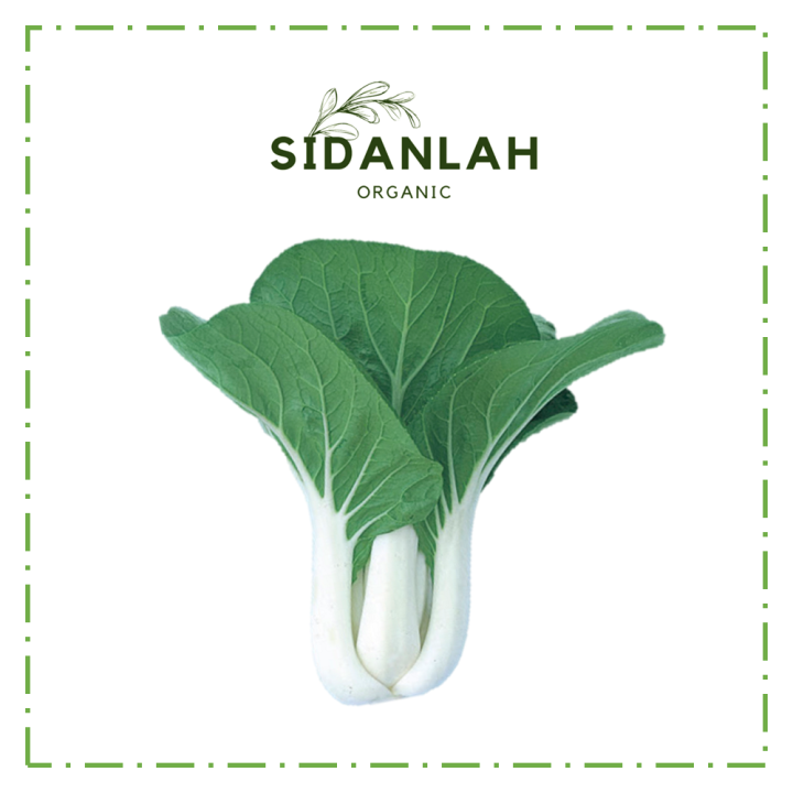 Organic Pak Choy White 白菜 (±300g) - Fresh Organic Vegetables Direct ...
