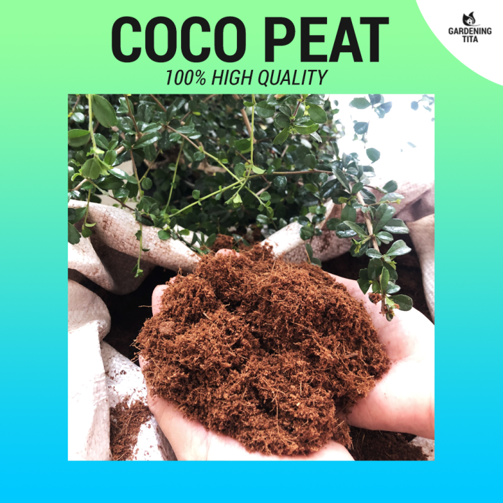 (1/2 KG) High Quality Sterilized Coco Peat for Gardening / Pets ...
