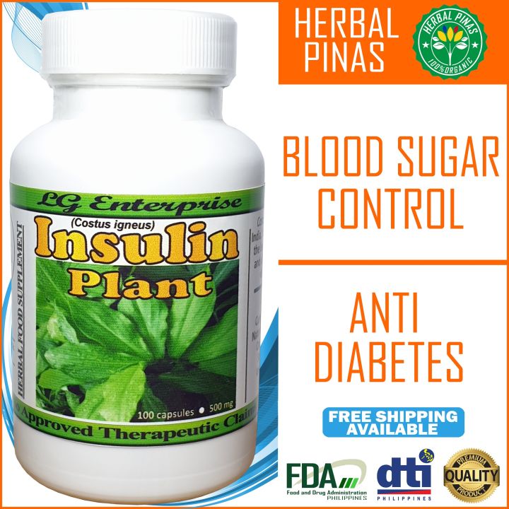 Organic Insulin Anti Diabetes 100 Capsules 500mg - Herbal Pinas | Lazada PH