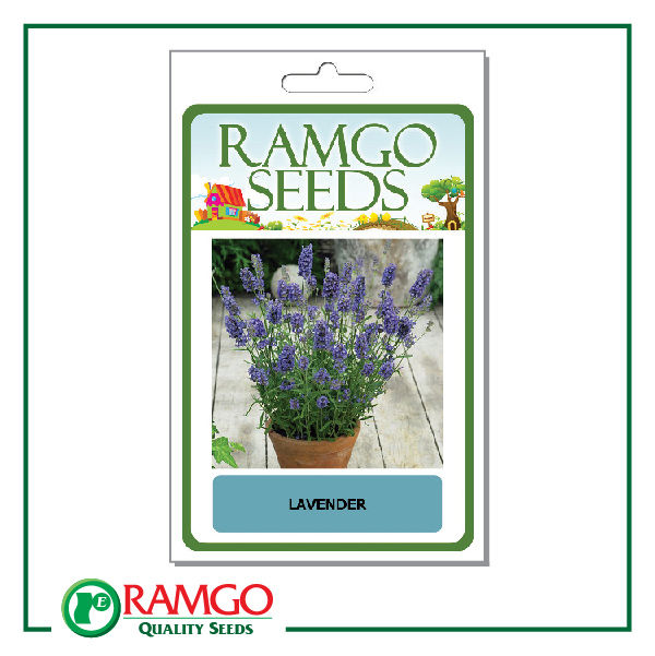 RCH Lavender seeds | Lazada PH