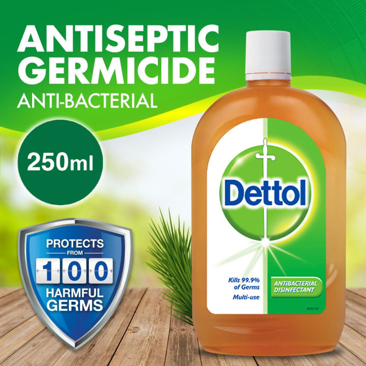 Dettol Antiseptic Germicide 250ml | Lazada