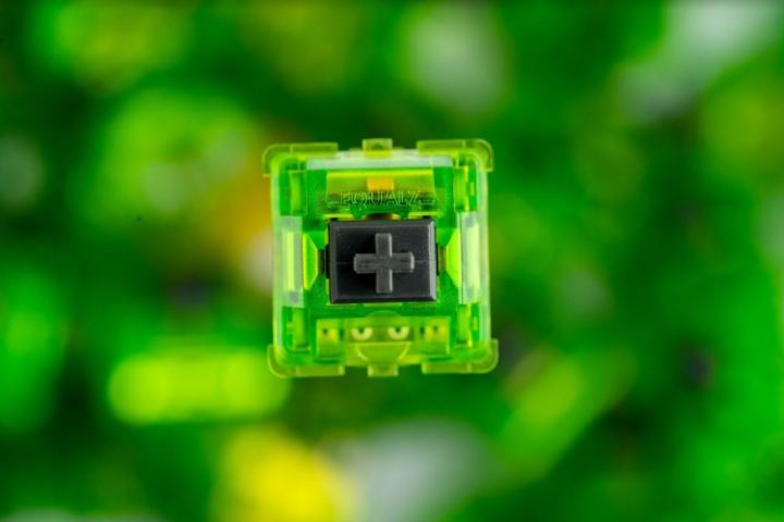 C³ Equalz Kiwi Tactile Switch Mechanical Keyboard Switches Zion Sutdios ...