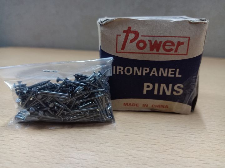 IRON PANEL PINS (PAKU SILING) 3/4'' 100G | Lazada