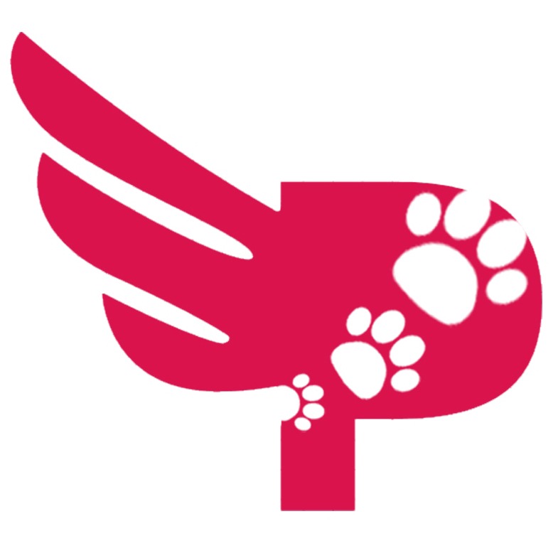 Supremo Infinity Power Concentrate 25kg - 8 kinds - Robina ...