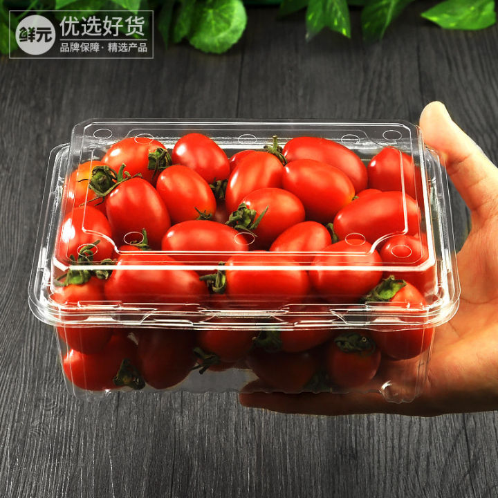 Fresh Yuan 500g Disposable Fruit Packaging Box Plastic Cover ...