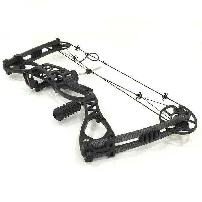 35-65LBS 10 Arrows Left Right Handed Compound Bow Archery Set | Lazada