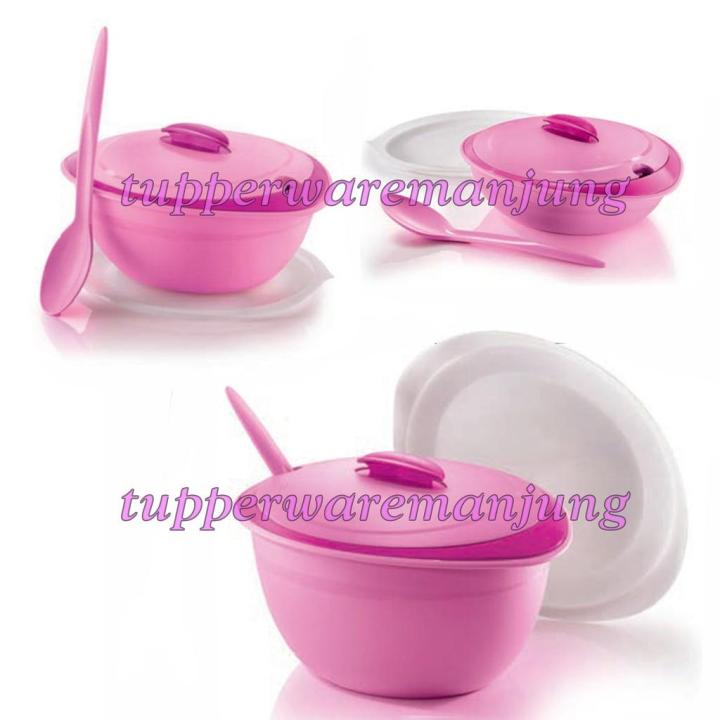 Tupperware Insulated Server Set | Lazada