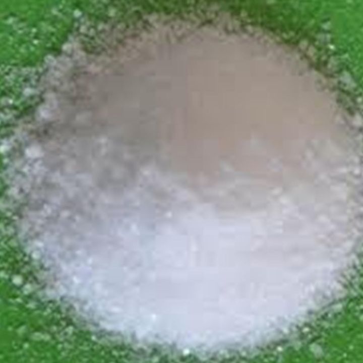 Oxalic Powder for Clothes Bleaching 1 kg / Rust Remover | Lazada PH