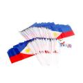 Philippine Flaglets with Stick Set of 50 (Multicolor) | Lazada PH