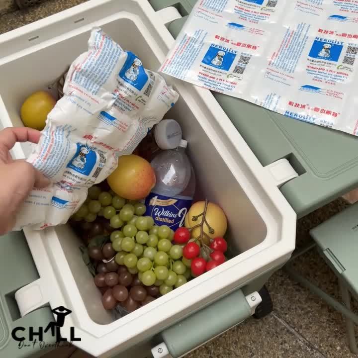 20pcs Herolily Techni Dry Ice Pack Standard 2 Ply in Bundle Sets of Ice ...