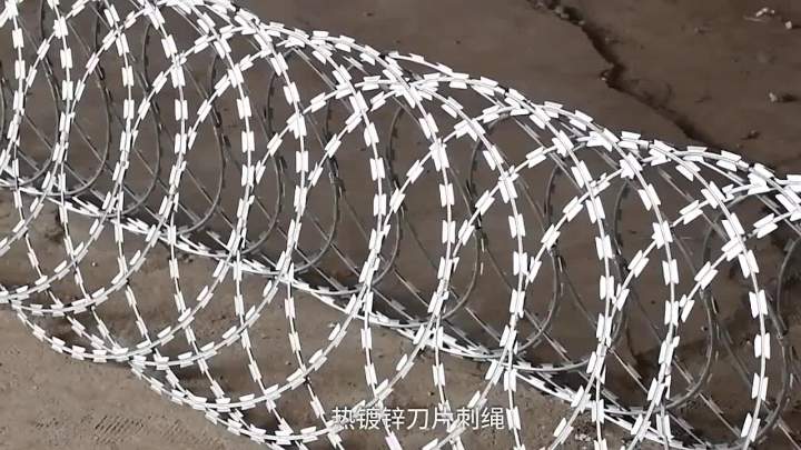 10M/1pc Barbed Razor Wire For Garden Fence Blade Wire for House Farm ...